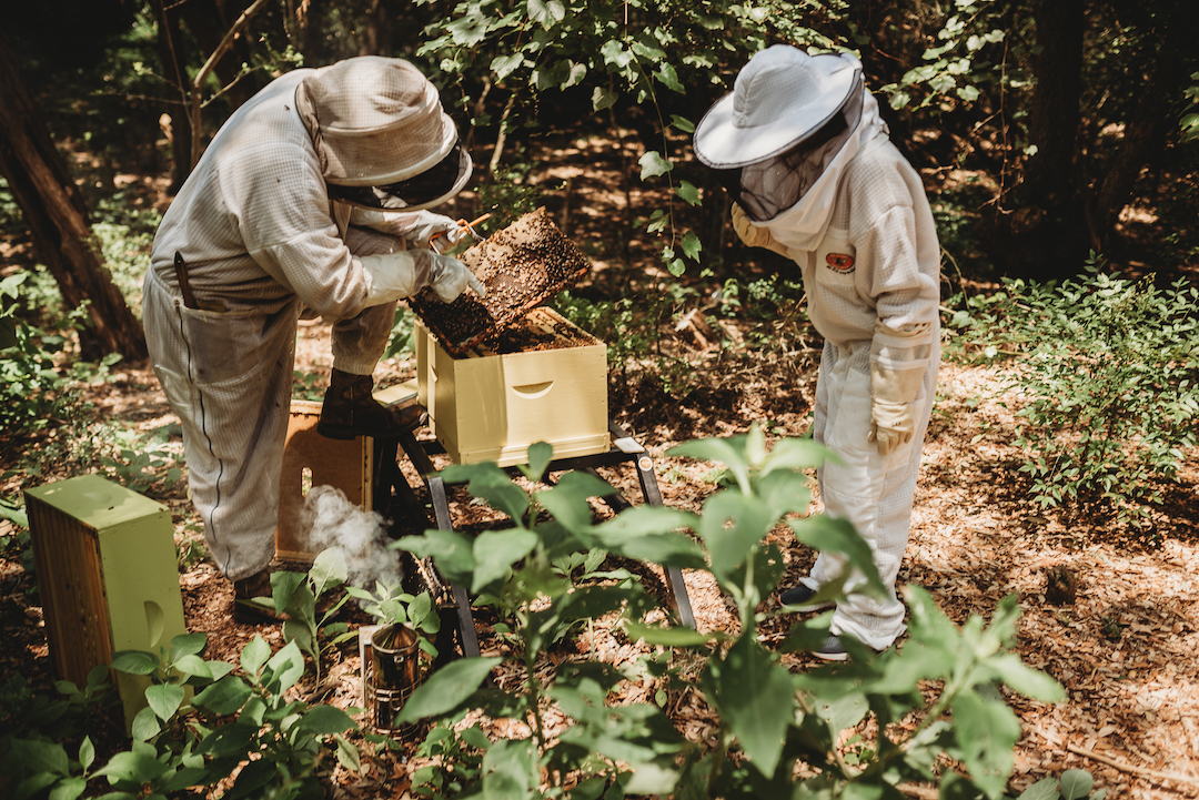 Raising Honey Bees - Now & Gen